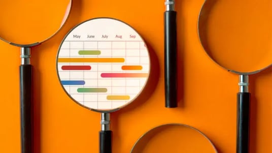 Inside a CRO: The Essential Role of a Clinical Project Manager